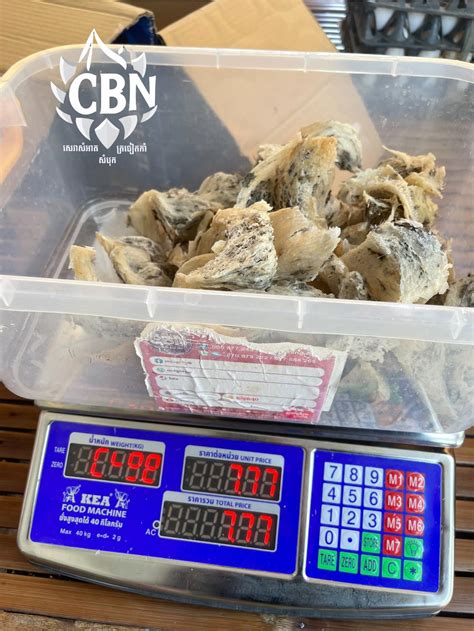 Cambodia Bird Nest Cbn