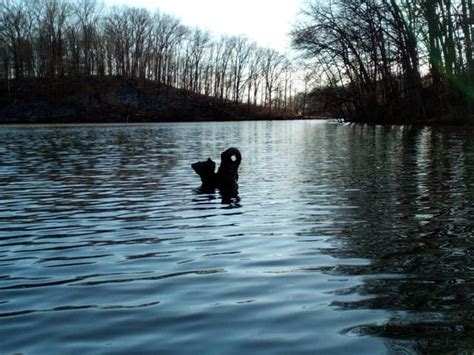 Who Is Ashley Rison Former Ohio Coach Teachers Aide Accused Of Having Sexual Relationship