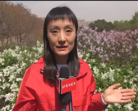 首都經濟報道春暖花開丨陶然亭海棠 圓明園丁香 春花盛放邀您共賞 每日頭條