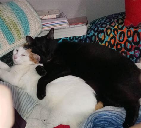 I Cant Believe Ive Had Her For Almost A Year Now I Love Her So Much R