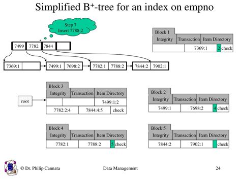 Ppt B Tree Indexing Powerpoint Presentation Free Download Id5928645