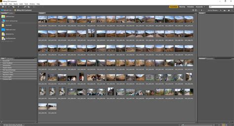 adobe bridge batch rename logipikolx