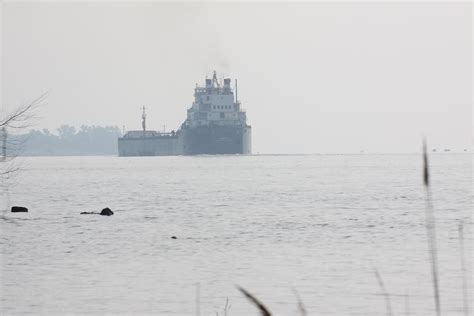 Michigan Exposures The Algolake