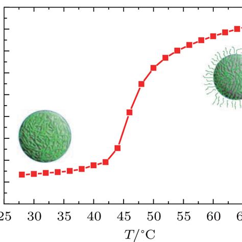 Height Of Grafted Ssdna Chains As A Function Of Temperature The Number