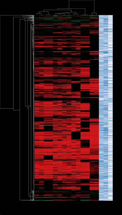 The Heat Map Dendrogram View Revealing The Comparison Of Metabolite