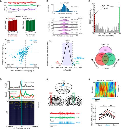 Figure 4 From Dysregulation Of Prefrontal Cortex Mediated Slow Evolving Limbic Dynamics Drives