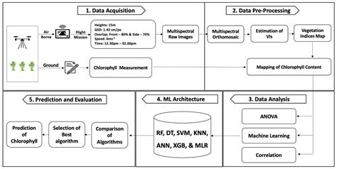 Remote Sensing Free Full Text Predicting Canopy Chlorophyll Content