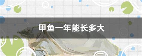 甲鱼一年能长多大 如意谷