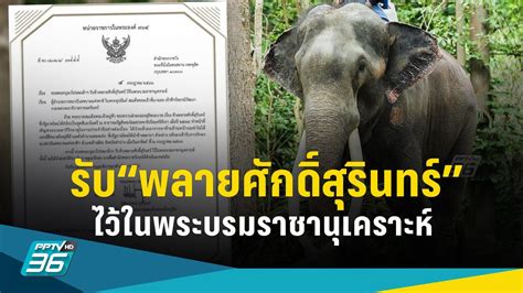 ในหลวง รับพลายศักดิ์สุรินทร์ไว้ในพระบรมราชานุเคราะห์ Pptvhd36
