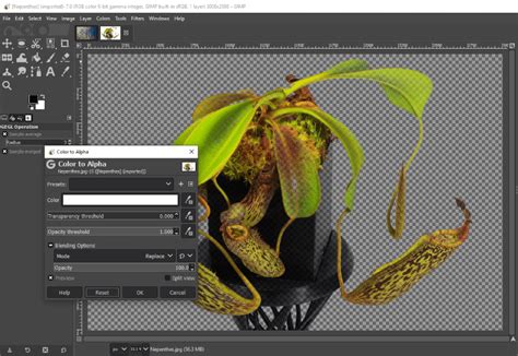 How To Fill An Area With Transparency In Gimp 3 Steps