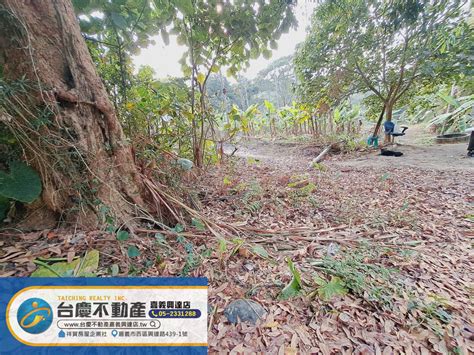 農地三界埔山坡農地嘉義縣水上鄉三界埔段 樂屋網 土地買賣