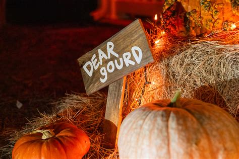 How To Make A Spooky Diy Haunted Pumpkin Patch Honestly Modern