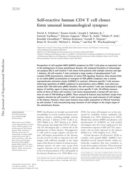 Pdf Self Reactive Human Cd4 T Cell Clones Form Unusual Immunological