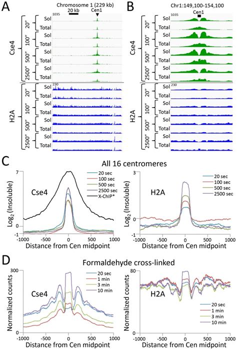 An Efficient Targeted Nuclease Strategy For High Resolution Mapping Of Dna Binding Sites Pubmed