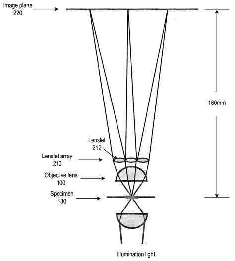 Light Field Microscopy Patented Technology Retrieval Search Results Eureka Patsnap