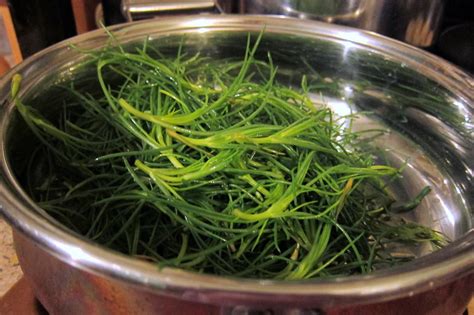 An Ode to Agretti | Appalachian to Alpine