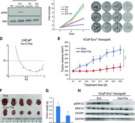 Mek Inhibitor Trametinib Suppresses Enzalutamide Resistant Enz R
