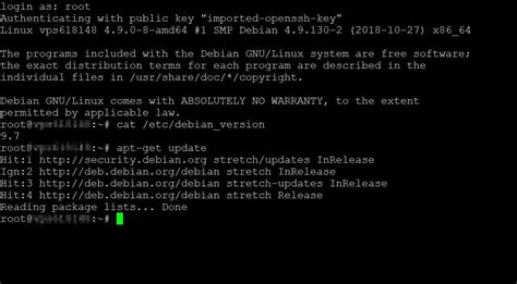 Konfiguracja Serwera Vps Od A Do Z W Oparciu O Debian 9 Stretch I Panel Vesta Lesiueu