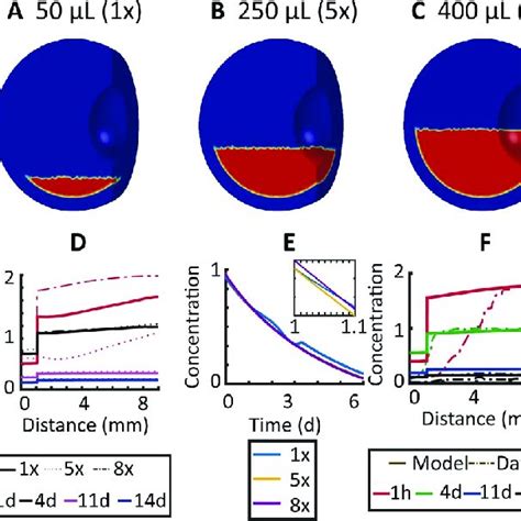 Finite Element Model Meshing Of The Model Geometry A 3d Geometry Of Download Scientific