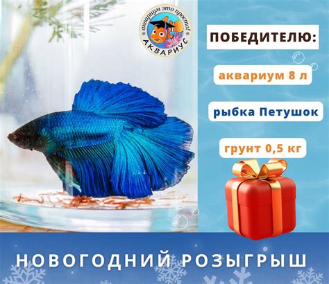 Аквариус. Аквариумные рыбки в Петрозаводске. | ВКонтакте