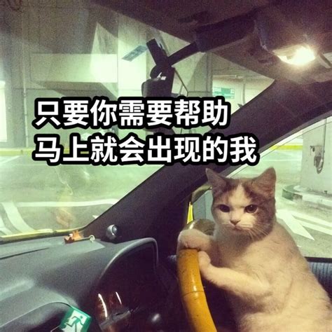 只要你需要帮助马上就会出现的我 网友制作的meme梗图