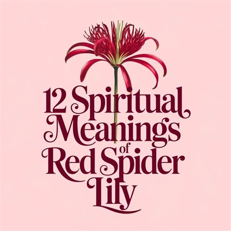 12 Spiritual Meanings Of Red Spider Lily Embodying Spiritual Secrets Spiritual With Liza