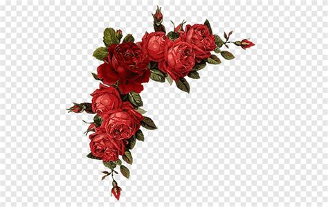 테두리 및 프레임 꽃 빨간 정원 장미 꽃 꽃꽂이 데쿠 파주 Png Pngegg