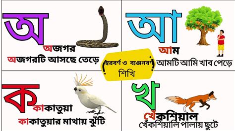 অ তে অজগরটি আসছে তেড়ে আ তে আমটি আমি খাব পেড়ে ক তে কাকাতুয়ার মাথায় ঝুঁটি খেঁকশিয়ালি