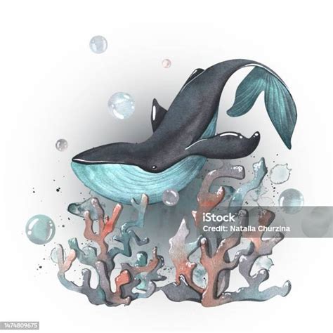 바다의 배경에 산호와 물 거품이 있는 고래 수채화 그림입니다 컬렉션 Whale의 구성 인쇄물 스티커 엽서 포스터의 장식 및