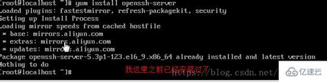 Linux系统中如何安装SSH服务 开发技术 亿速云