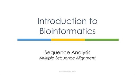 Week8 Multiple Sequence Alignment Pptx