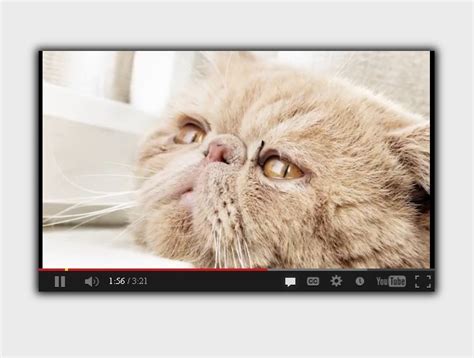 Jquery Lightbox Plugin For Youtube Videos Video Lightning Free