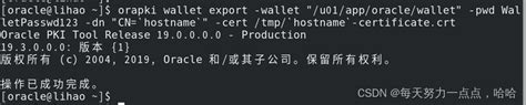 使用自签名证书的ssl linux db19 win 客户端） wallet中添加自签名的证书 csdn博客