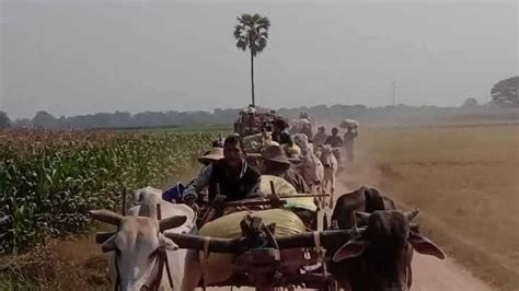 စလင်းမြို့နယ်ထဲက ကျေးရွာများကို စစ်ကောင်စီတပ်က လေကြောင်းတိုက်ခိုက်