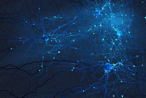 Community Newsletter Novel Biosensor Mental Health Needs Autism