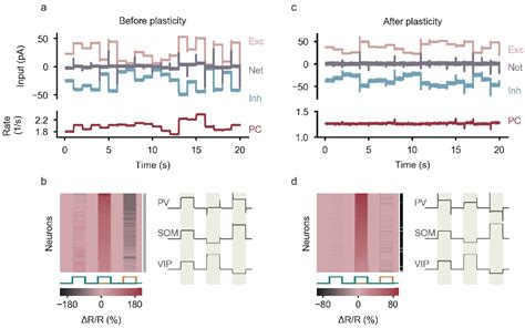Figures And Data In Learning Prediction Error Neurons In A Canonical Interneuron Circuit Elife