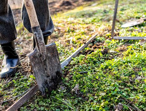 How To Make A Mow Strip Backyard Boss