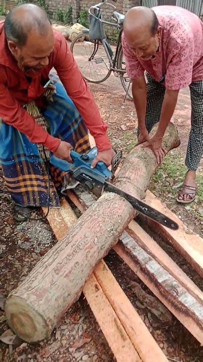 গাছ কাটা হচ্ছে নবাব ফার্নিচার Youtube