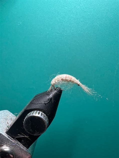 Scud Cream Pursuit Flyworx