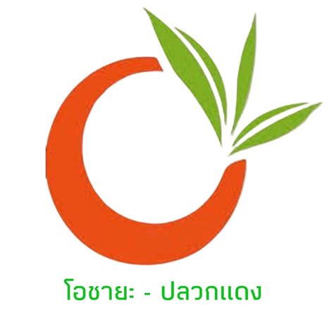 Ochaya โอชายะ ปลวกแดง Added A New Ochaya โอชายะ ปลวกแดง