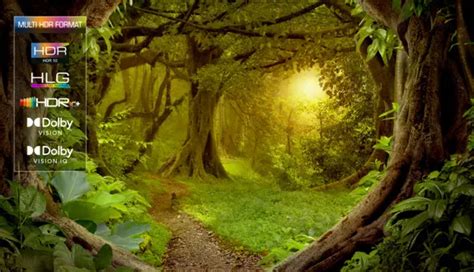 TCL 55MQLED80 (55 Zoll, QLED, 4K UHD, Mini LED, Google TV ...