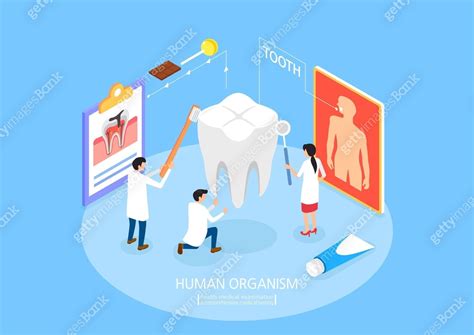 건강관리 주제 약 의료품 의학 과학 병원 의료시설 진찰 의료행위 의사 소화기관 Body Part 관찰 치아 치과 칫솔 세면도구
