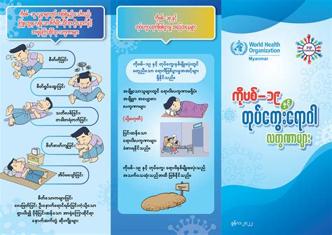 Influenza Rcce Materials