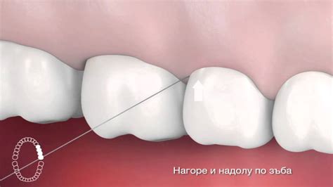 Правилно почистване с конец за зъби Youtube