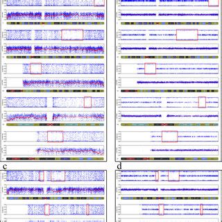 Normal Male SNP Array With One X Chromosome And One Y Chromosome A Download Scientific