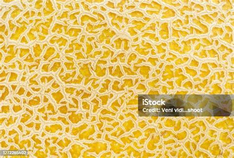 노란색 멜론 피부 질감의 매크로 샷 채식주의 자 생 식품 식단 및 건강한 식습관에 대한 디자인 요소 전체 프레임 껍질에 대한