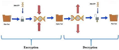 Figure 2 From A Technique Of Data Security Using Dna Cryptography With Optimized Data Storage
