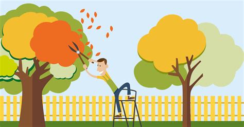 Pruning Your Mature Tree Trees Sa Large Indigenous And Exotic Trees