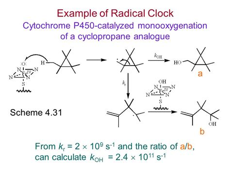 Monooxygenation Table 4 1 Typical Reactions Catalyzed By Monooxygenases Ppt Video Online