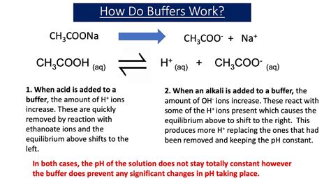 What Is A Reaction Buffer At Ellie Gillespie Blog